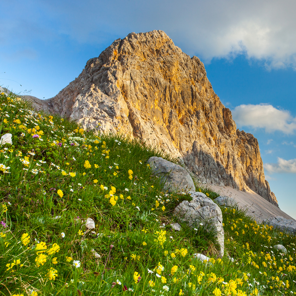 Trekking in Slovenian Alps - Guided tour in small groups